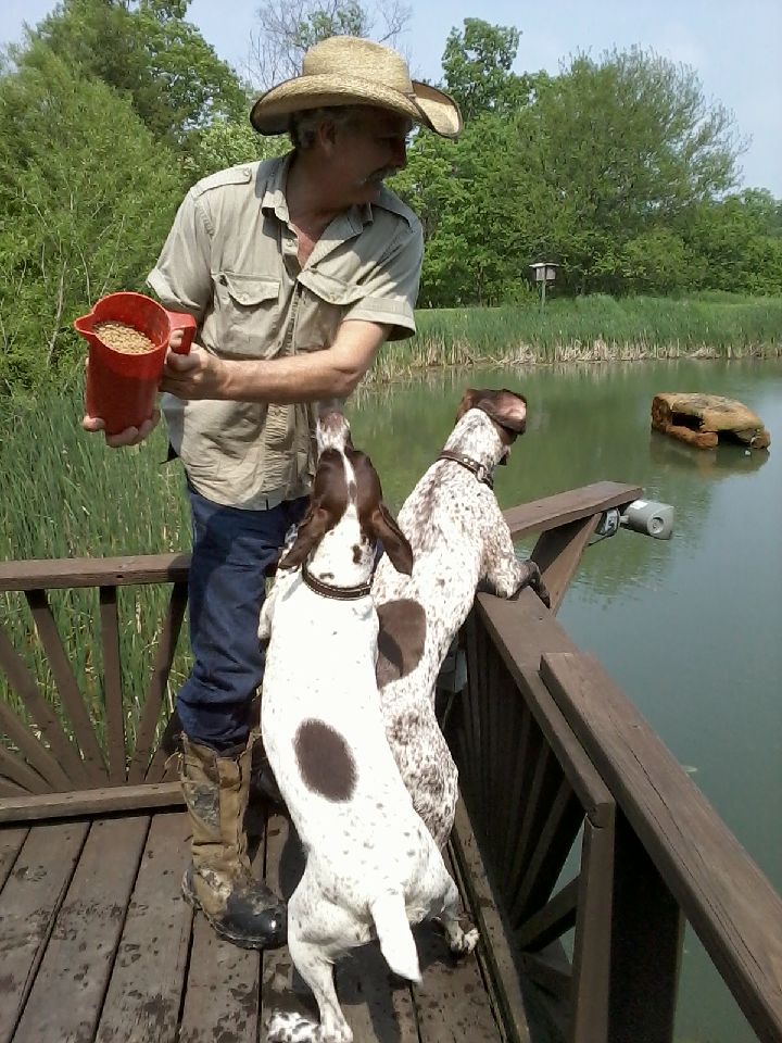 Gallery – Barb's Dog Obedience